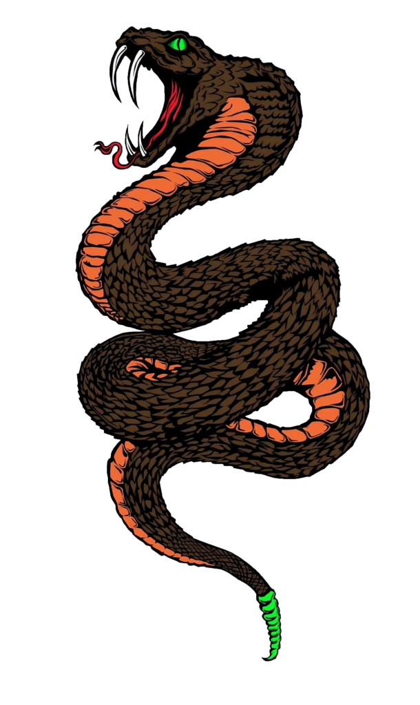 Snake PNG Transparent Images Free Download - Pngfre