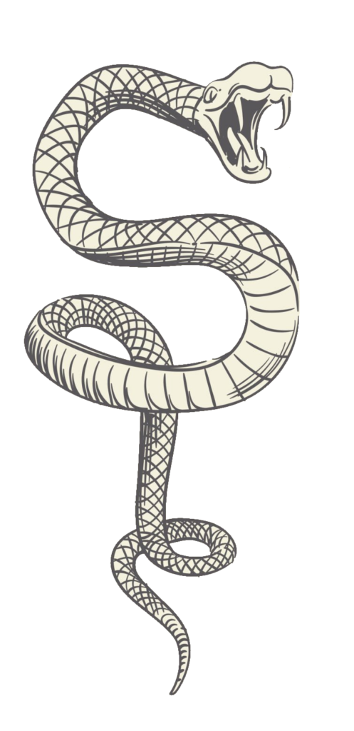 Snake PNG Transparent Images Free Download - Pngfre