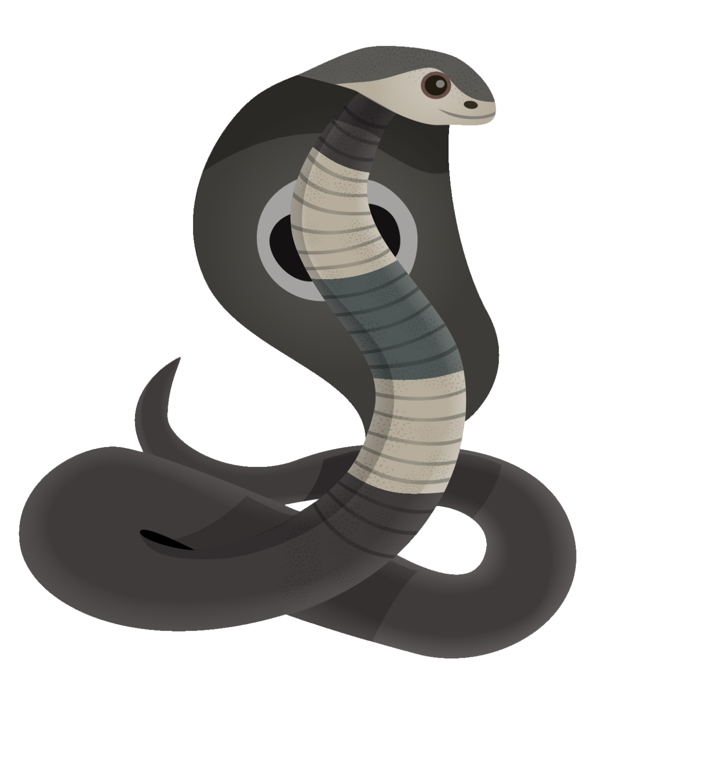 Snake PNG Transparent Images Free Download - Pngfre