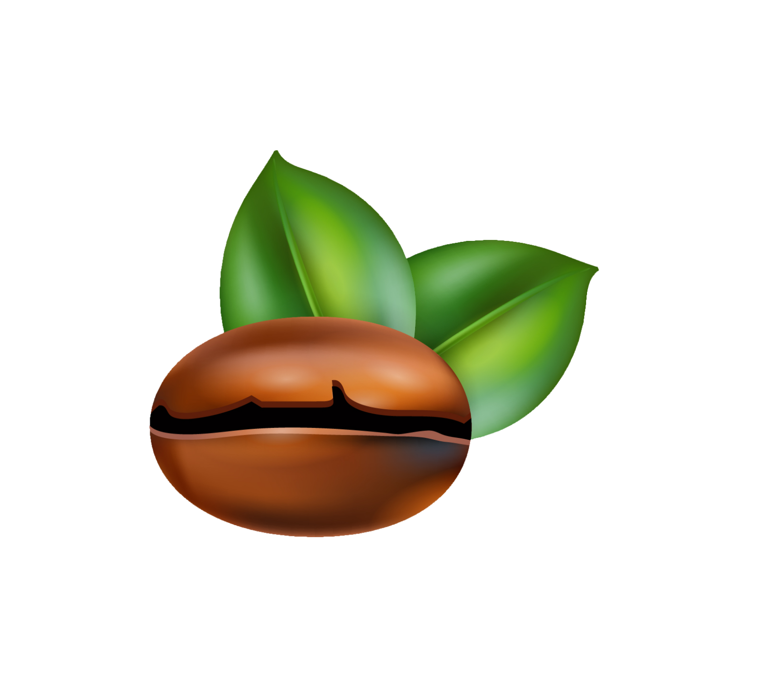 Coffee PNG Transparent Images Free Download - Pngfre