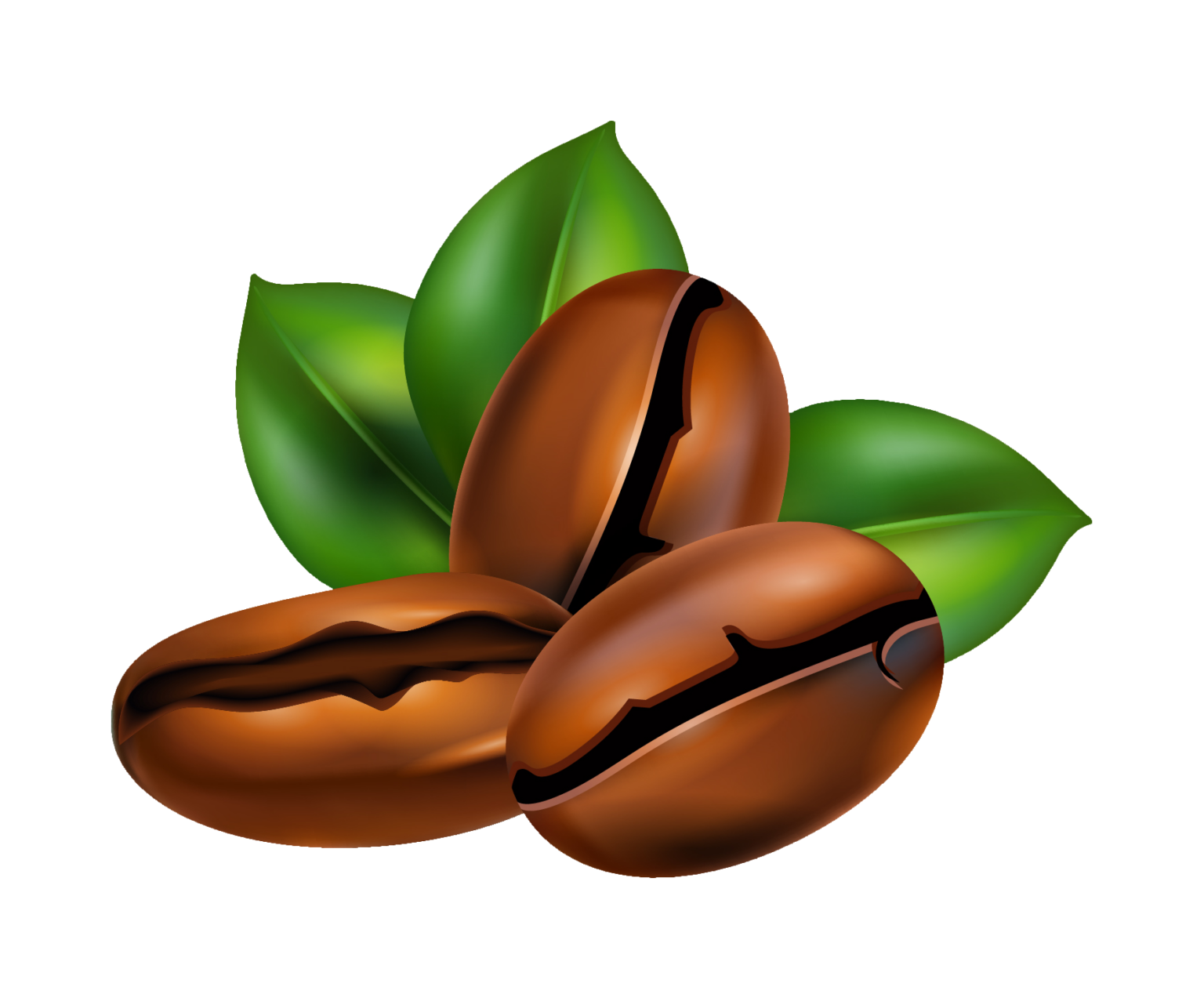 Coffee PNG Transparent Images Free Download - Pngfre