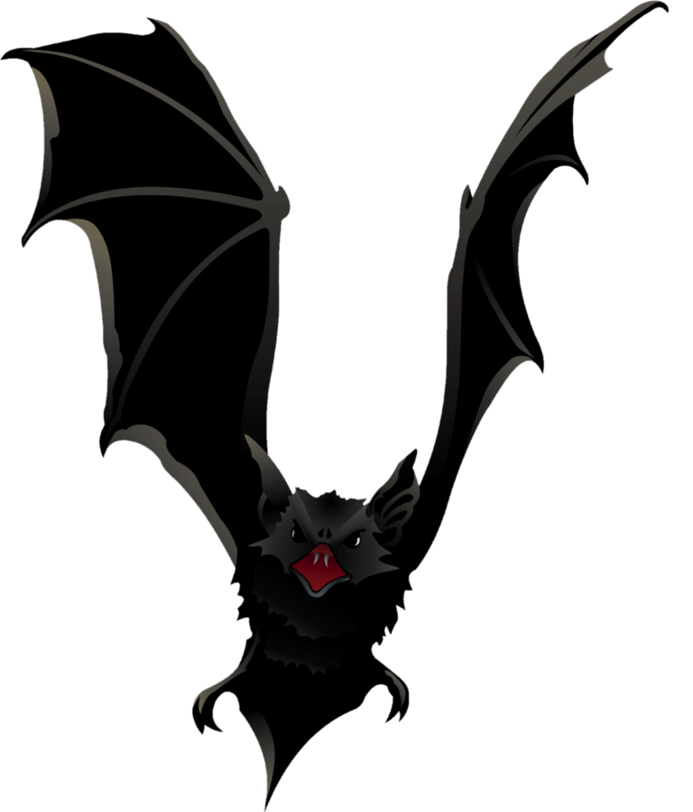 Bat PNG Transparent Images Free Download - Pngfre