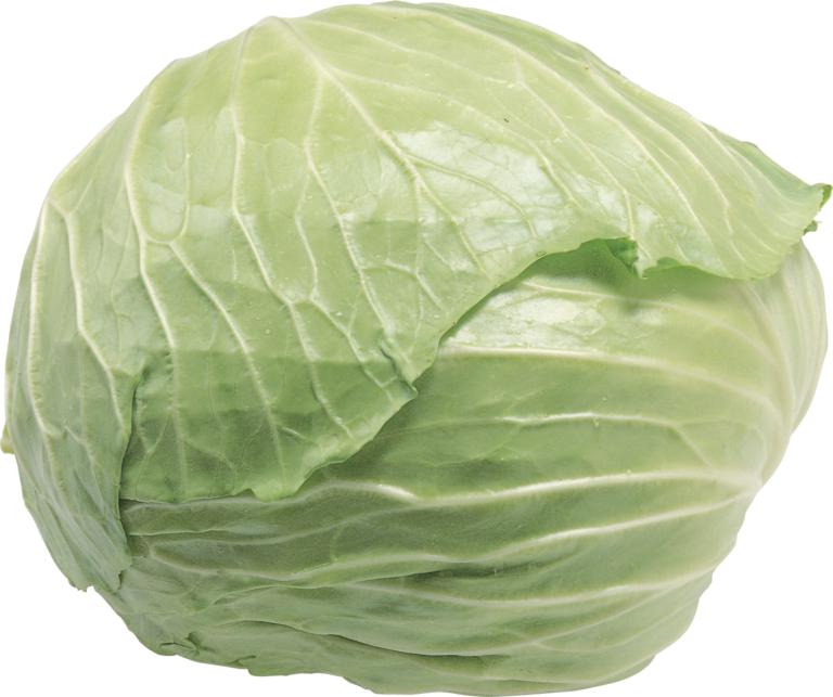 Cabbage PNG Transparent Images Free Download - Pngfre