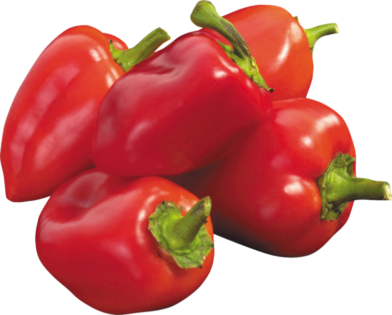 Capsicum PNG Transparent Images Free Download - Pngfre