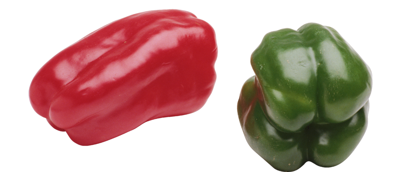 Capsicum PNG Transparent Images Free Download - Pngfre