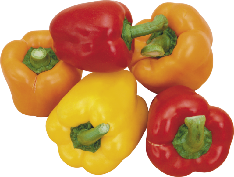 Capsicum PNG Transparent Images Free Download - Pngfre