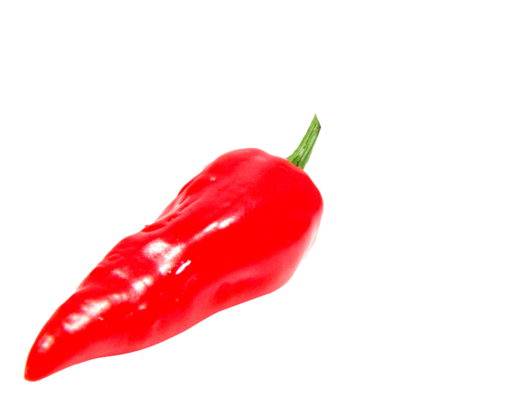 Chili PNG Transparent Images Free Download - Pngfre