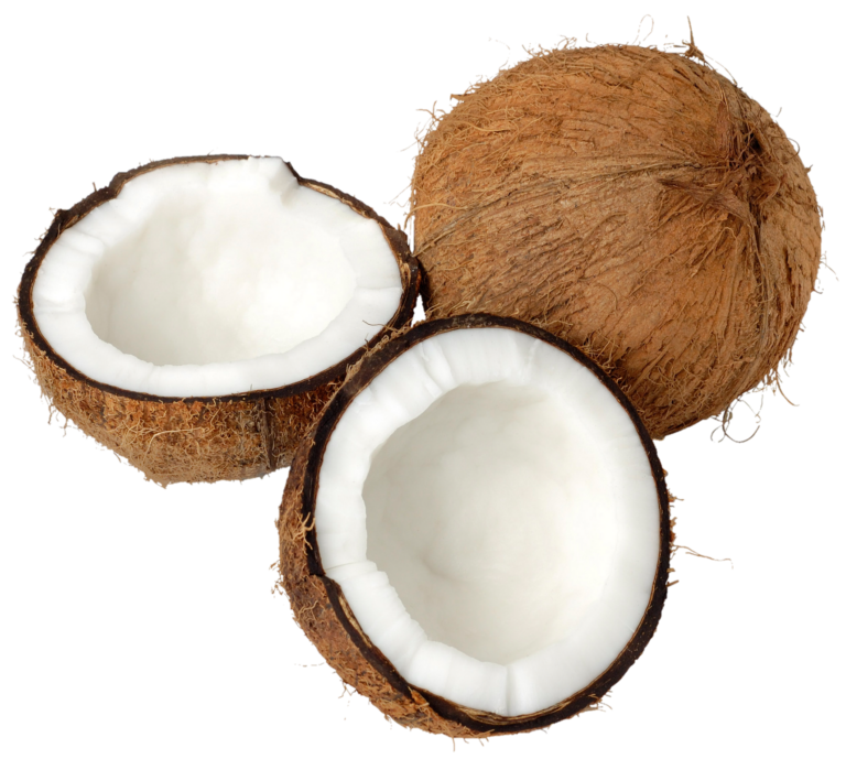 Coconut PNG Transparent Images Free Download - Pngfre