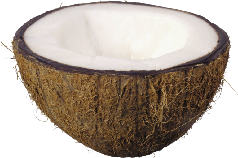 Coconut PNG Transparent Images Free Download - Pngfre