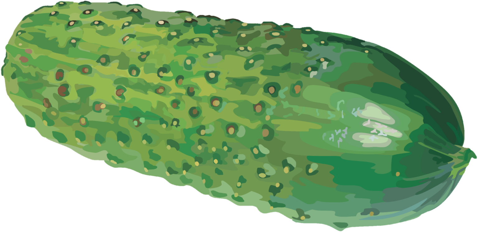 Cucumber PNG Transparent Images Free Download - Pngfre