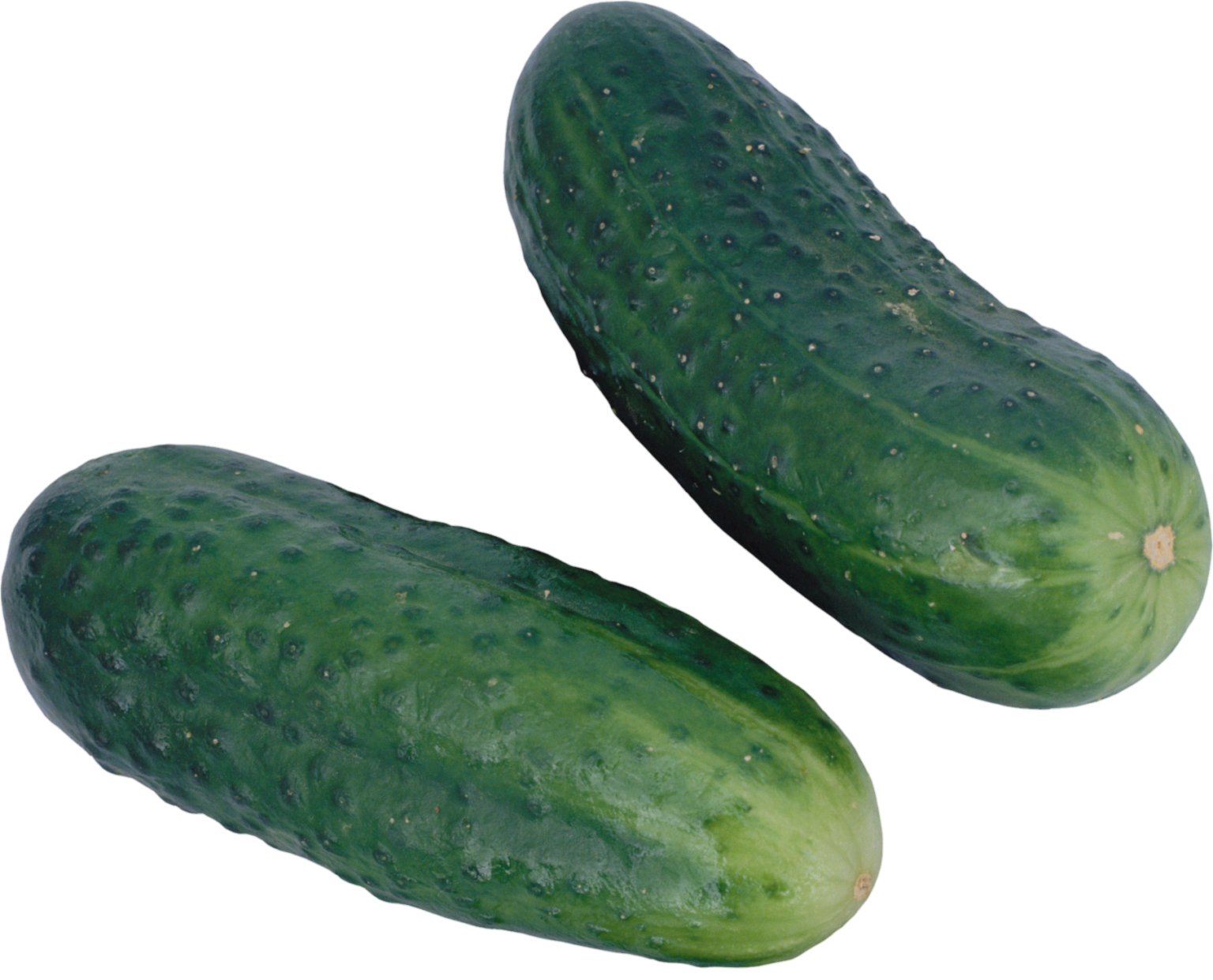 Cucumber PNG Transparent Images Free Download - Pngfre