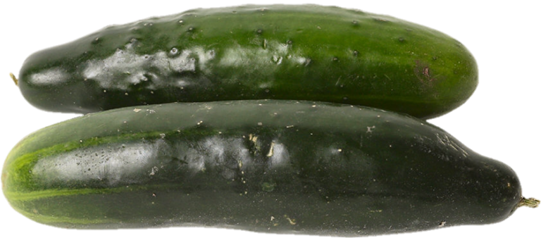 Cucumber PNG Transparent Images Free Download - Pngfre