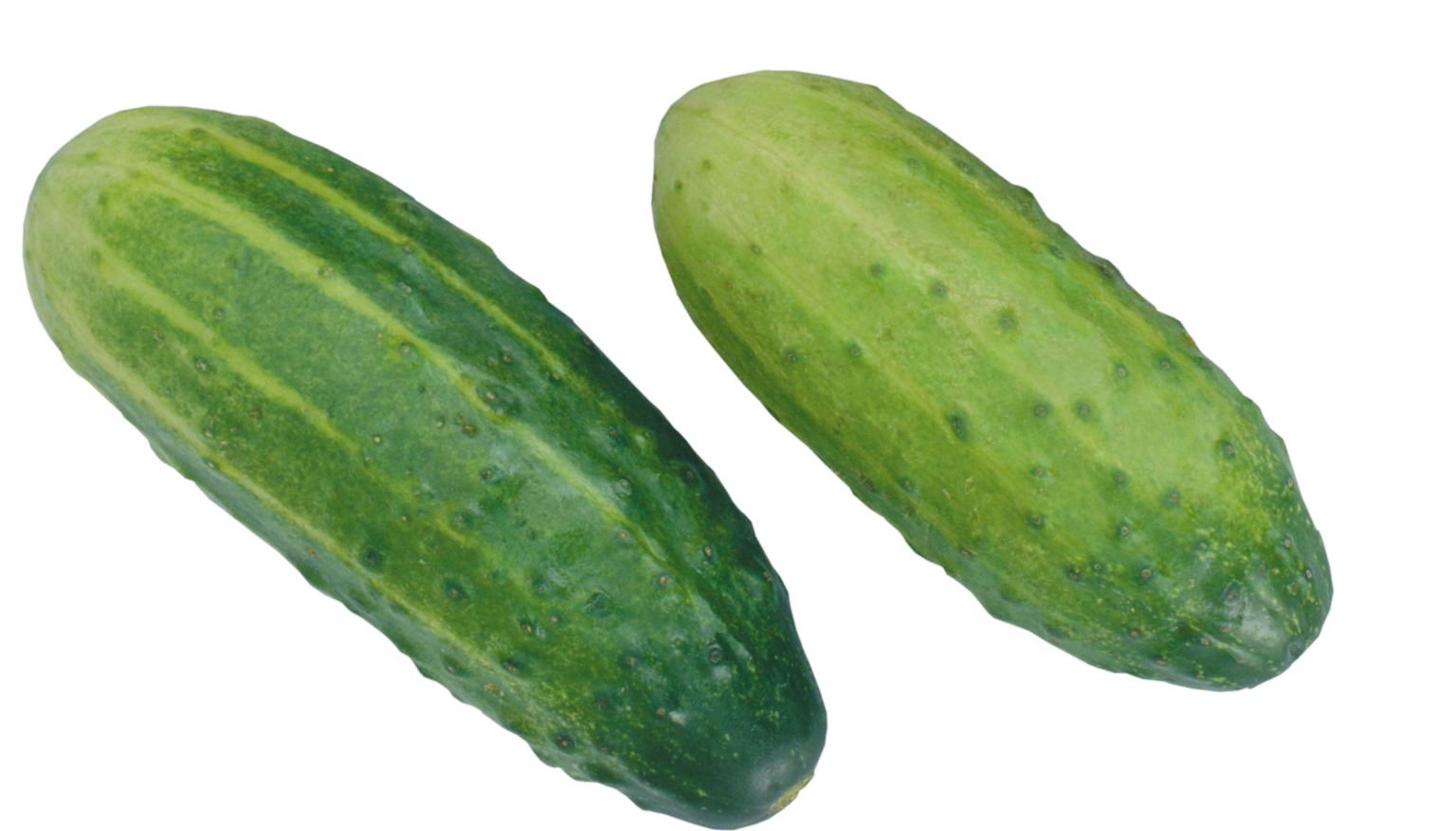 Cucumber PNG Transparent Images Free Download - Pngfre