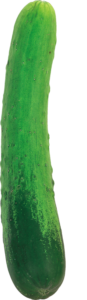 Cucumber-6 - Pngfre