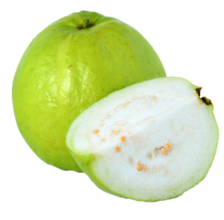 Guava PNG Transparent Images Free Download - Pngfre