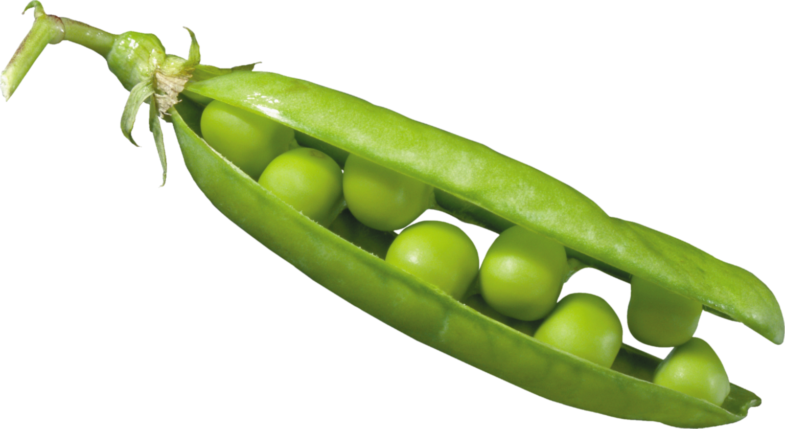 Pea PNG Transparent Images Free Download - Pngfre