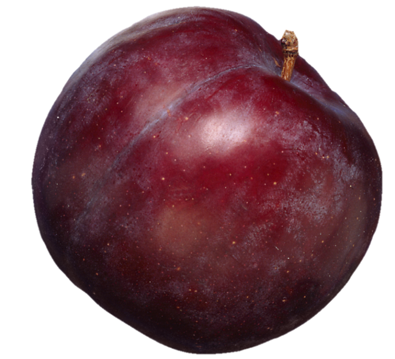 Plum PNG Transparent Images Free Download - Pngfre
