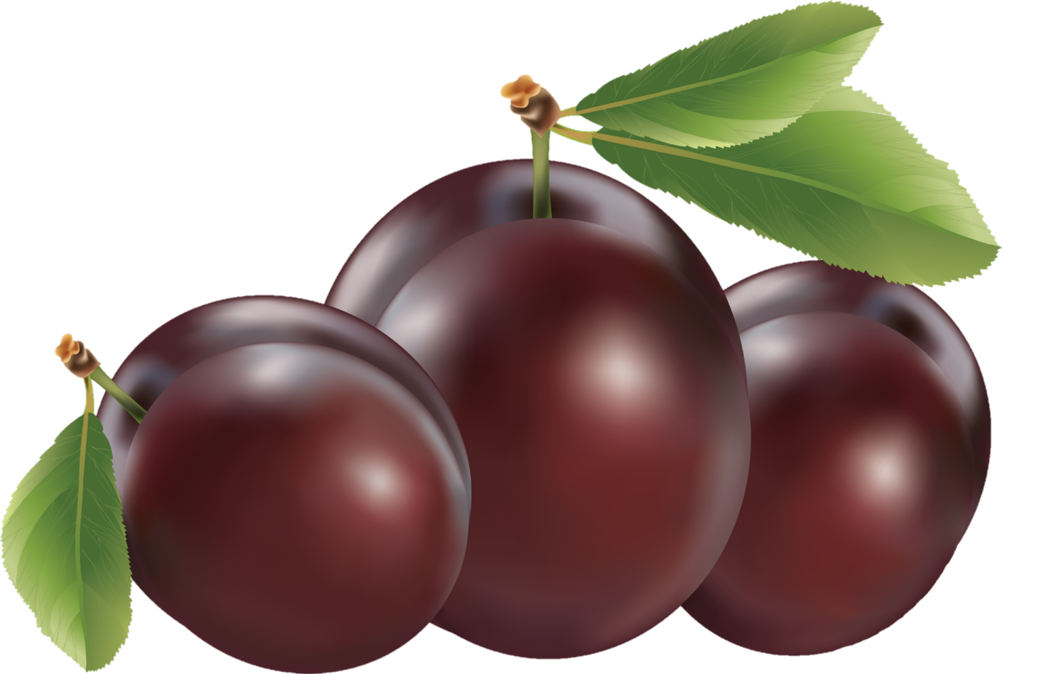 Plum PNG Transparent Images Free Download - Pngfre