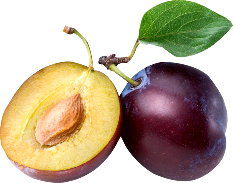 Plum PNG Transparent Images Free Download - Pngfre