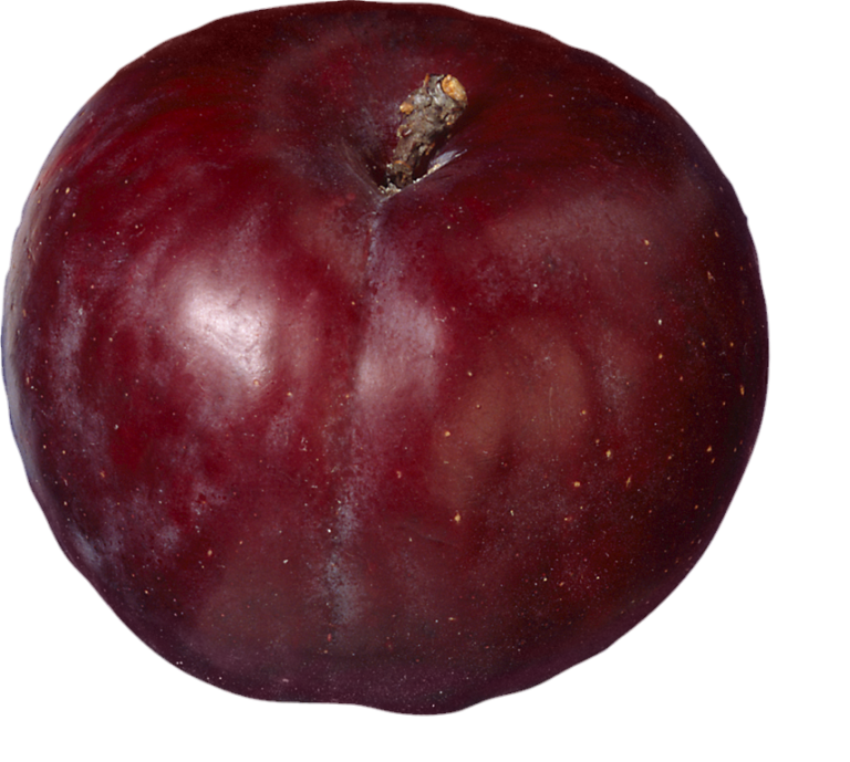 Plum PNG Transparent Images Free Download - Pngfre