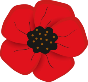 Poppy PNG Transparent Images Free Download - Pngfre