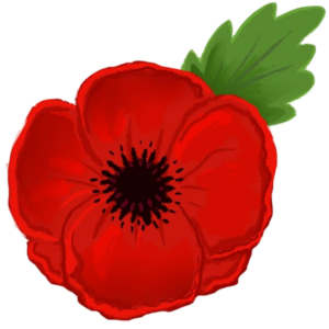 Poppy PNG Transparent Images Free Download - Pngfre
