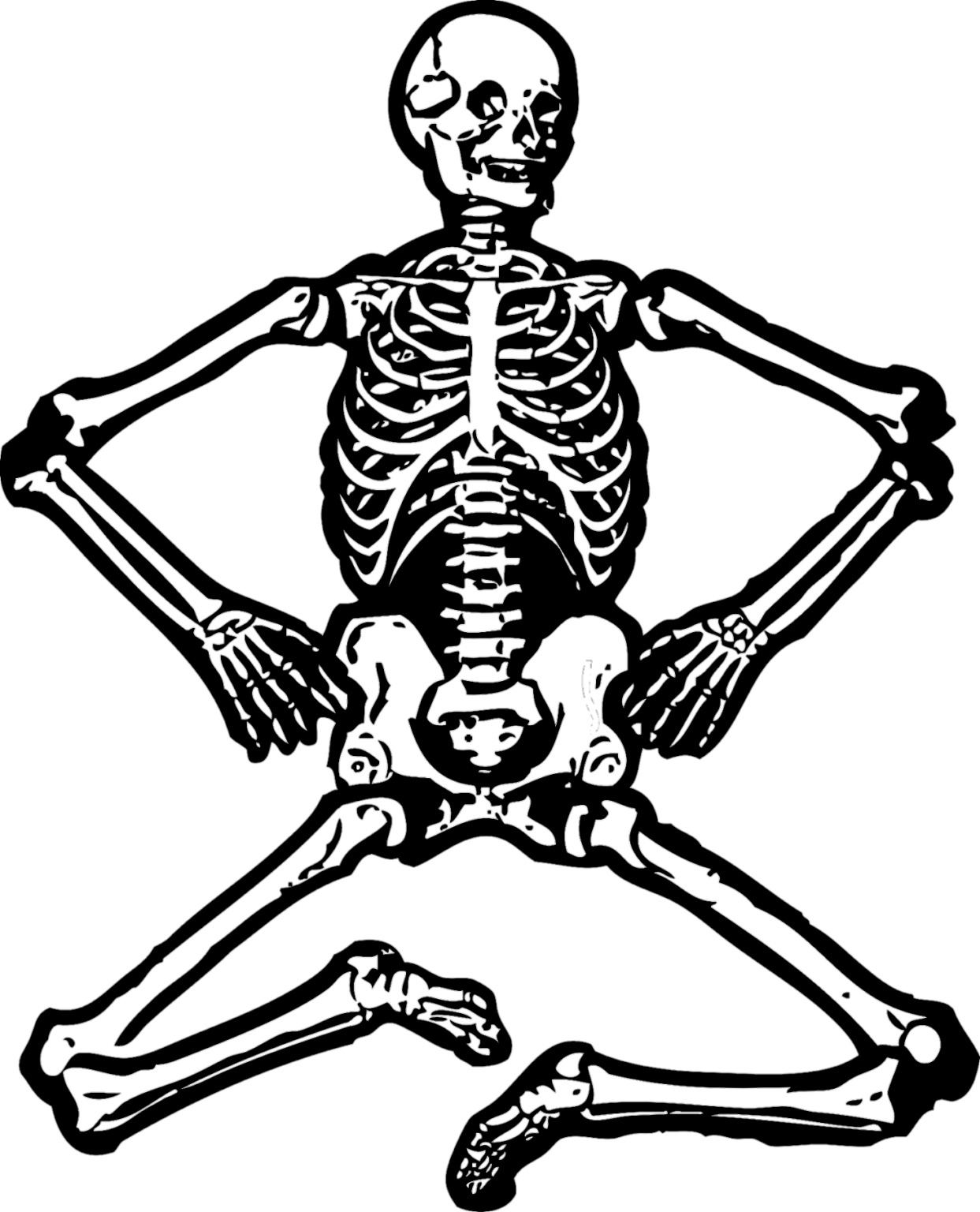 Human Skeleton PNG Transparent Images Free Download - Pngfre