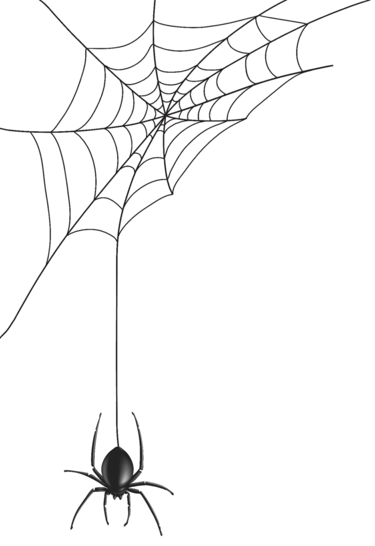 Spider Web PNG images free download - Pngfre