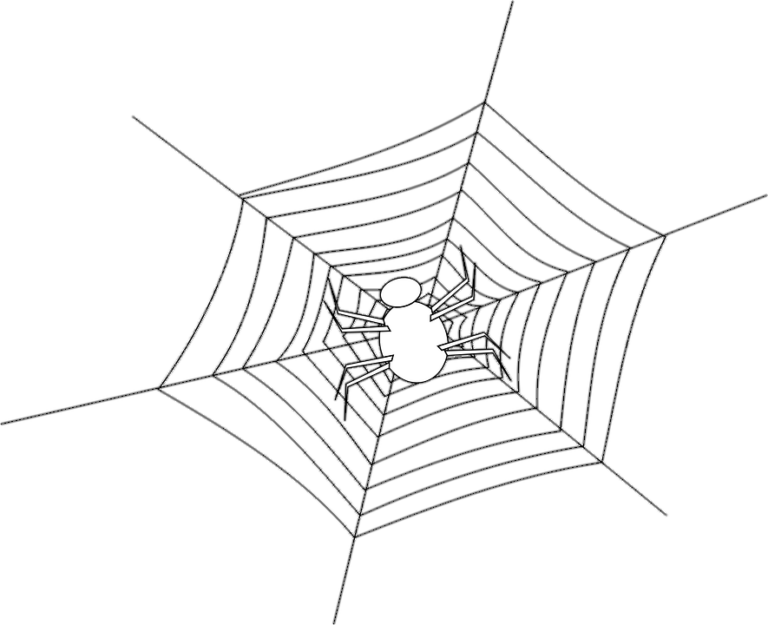 Spider Web PNG images free download - Pngfre