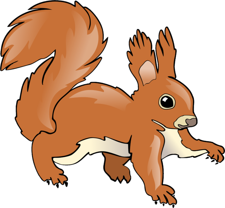 Squirrel PNG Transparent Images free Download - Pngfre