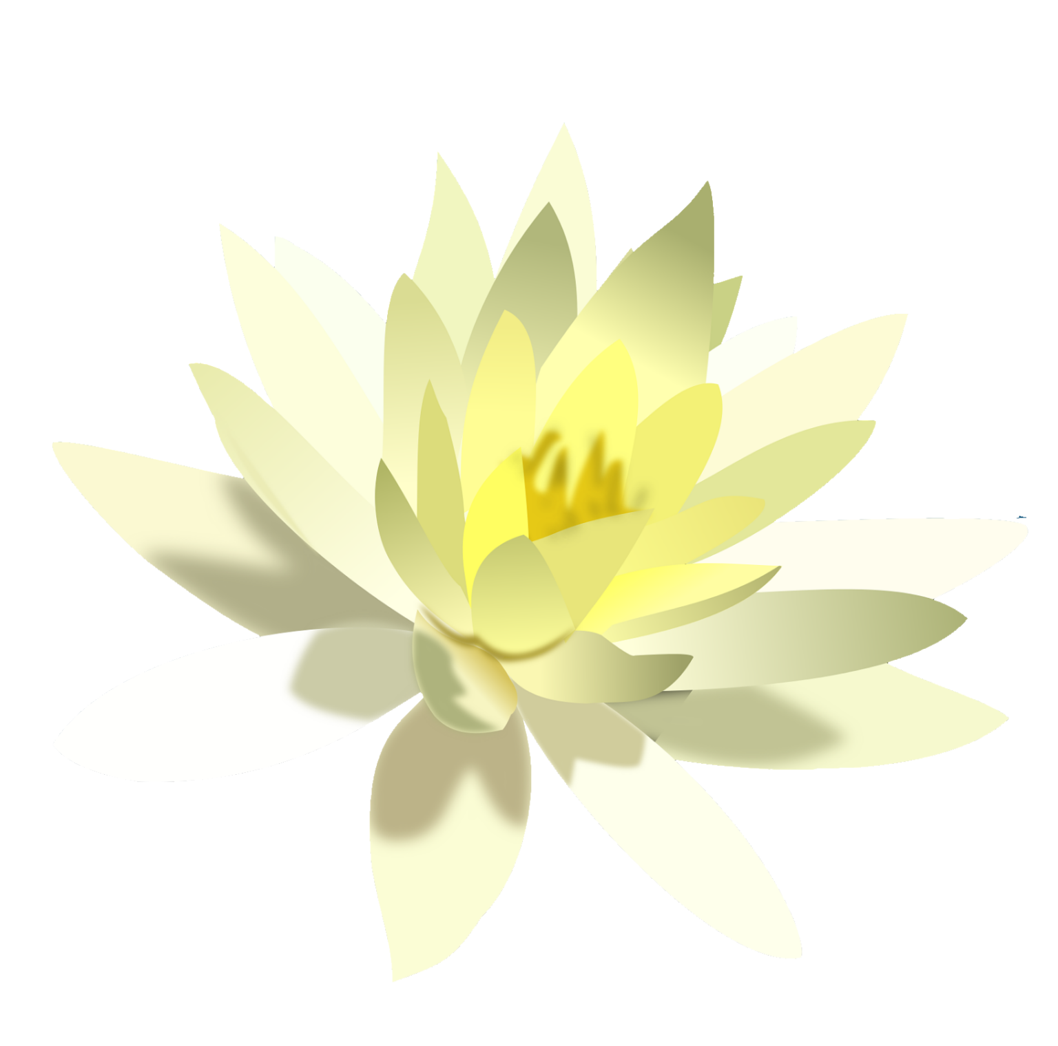 Water lily PNG images free download - Pngfre