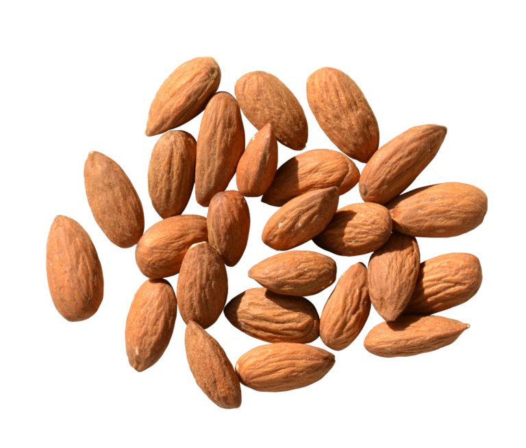 Almond PNG Transparent Images Free Download - Pngfre