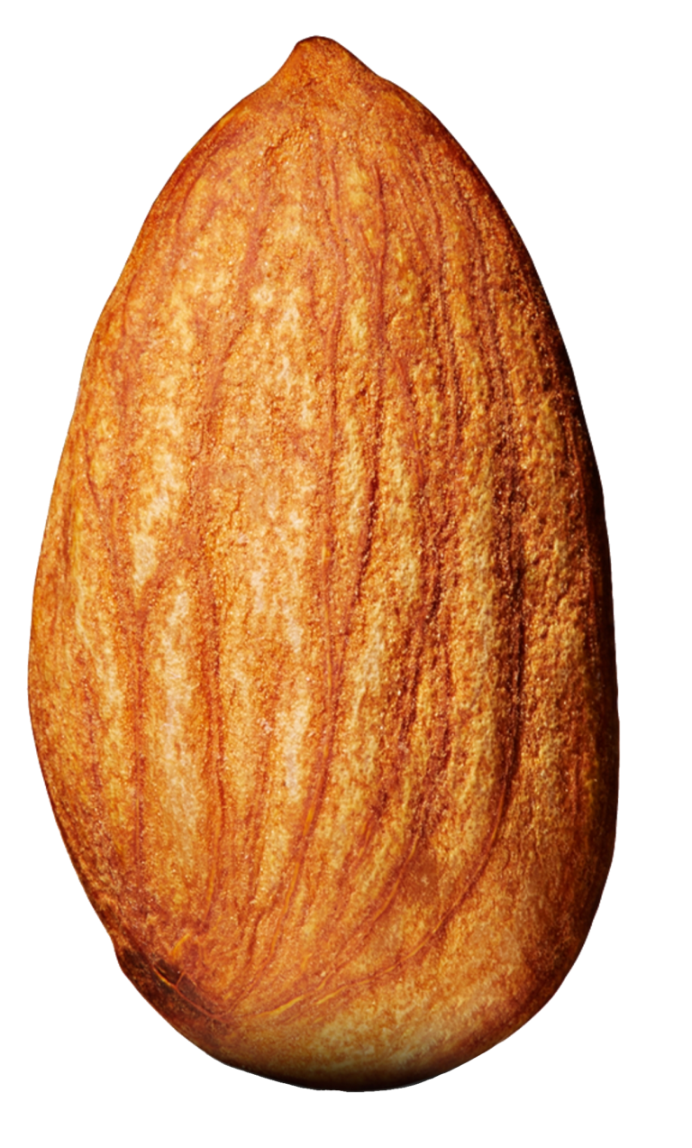 Almond PNG Transparent Images Free Download - Pngfre