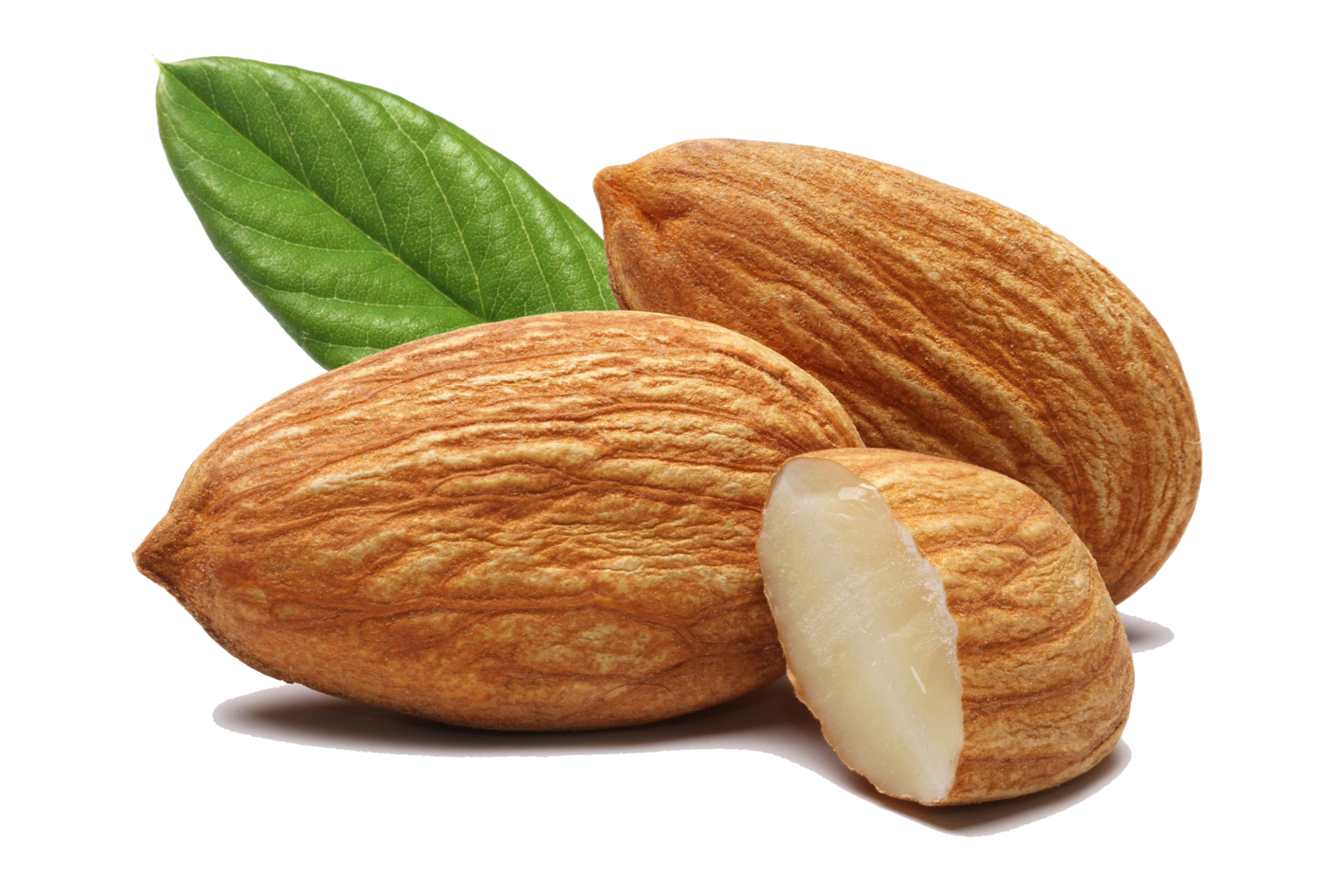 Almond PNG Transparent Images Free Download - Pngfre