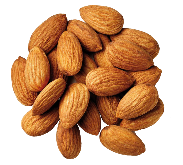 Almond PNG Transparent Images Free Download - Pngfre