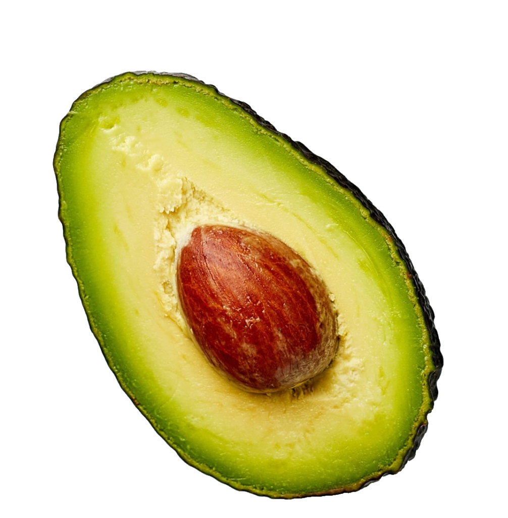 Avocado PNG Images free Download - Pngfre
