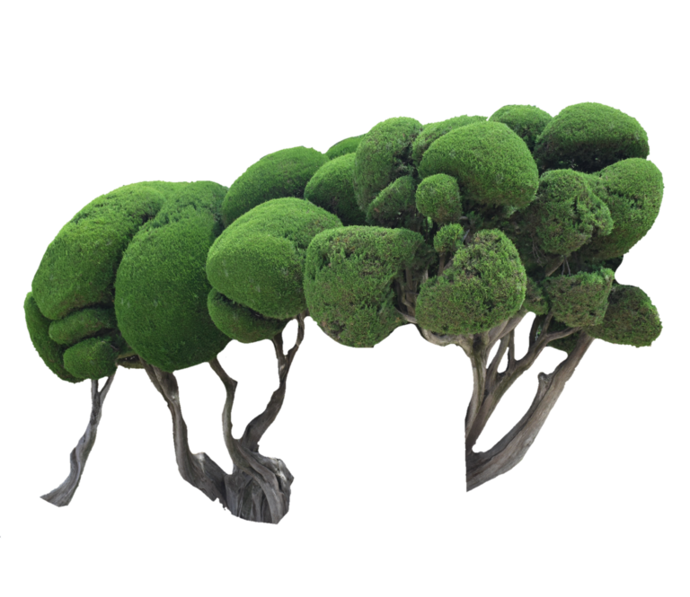 Bushes PNG Transparent Images Free Download - Pngfre