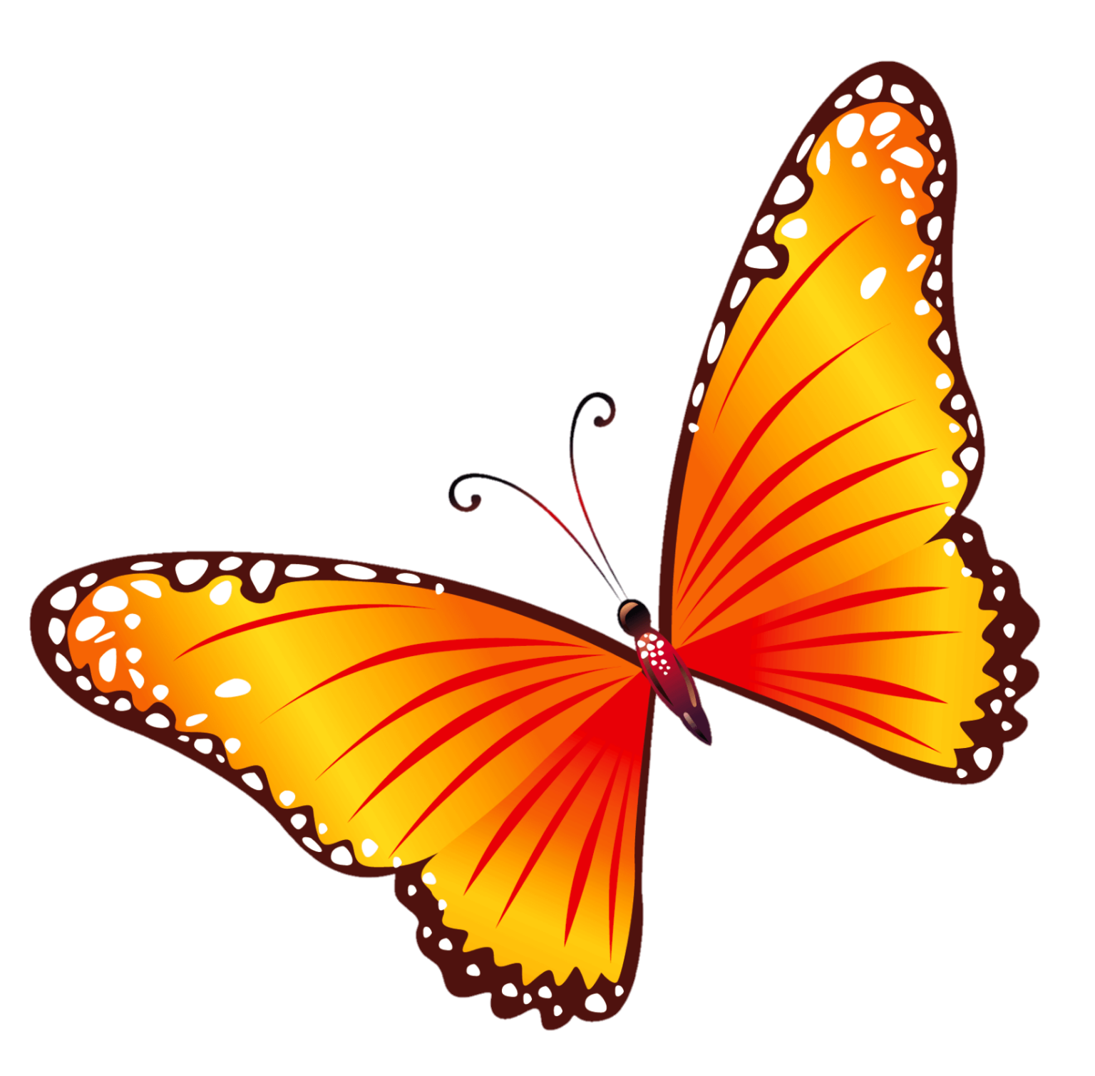 Butterfly PNG Transparent Images - Page 3 of 4 - Pngfre