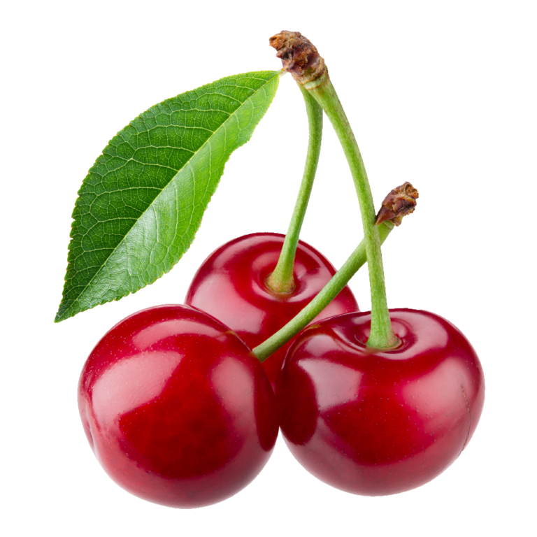 Cherry PNG Images free Download - Pngfre