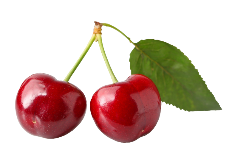 Cherry PNG Images free Download - Pngfre