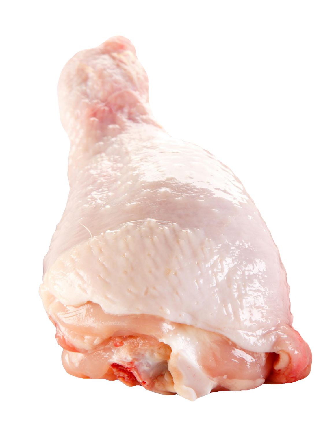 Chicken PNG Transparent Images Free Download - Pngfre