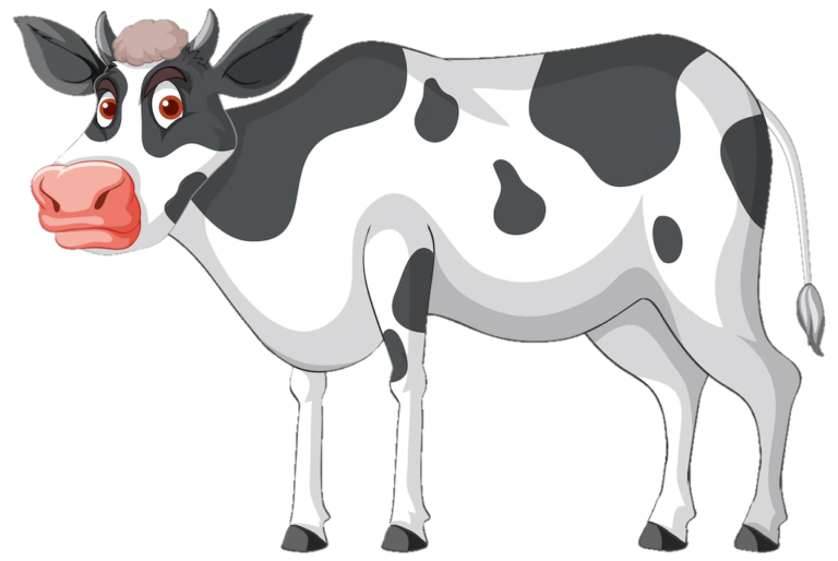 Cow PNG Images Free Download - Pngfre