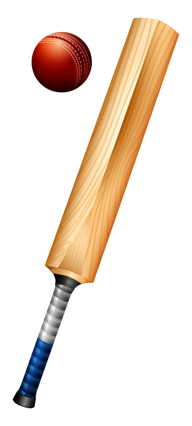 Cricket PNG Images Free Download - Pngfre