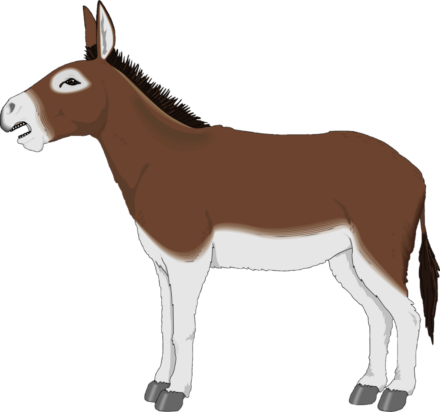 Donkey Png Transparent Images Free Download - Pngfre