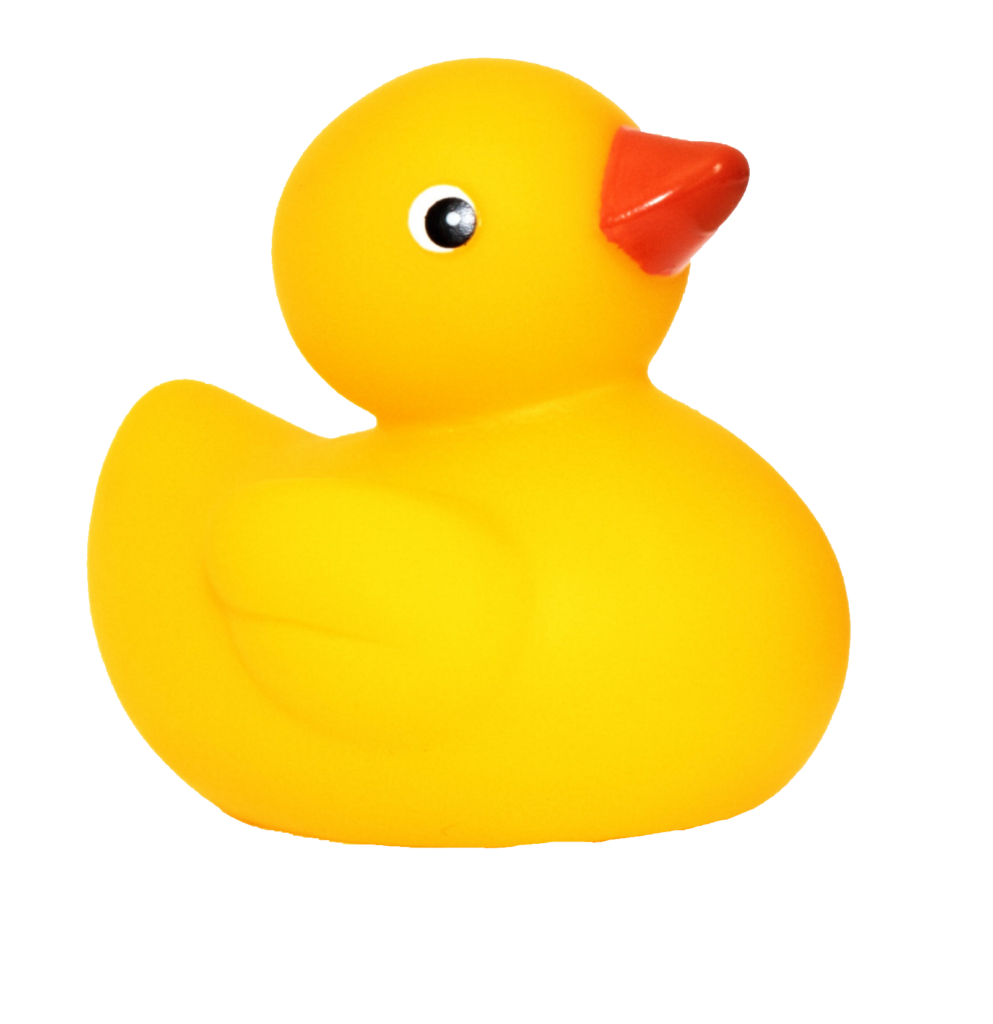 Duck PNG Transparent Images Free Download - Pngfre