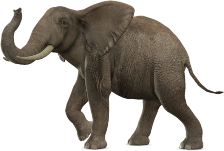Elephant Png Transparent Images Free Download - Pngfre