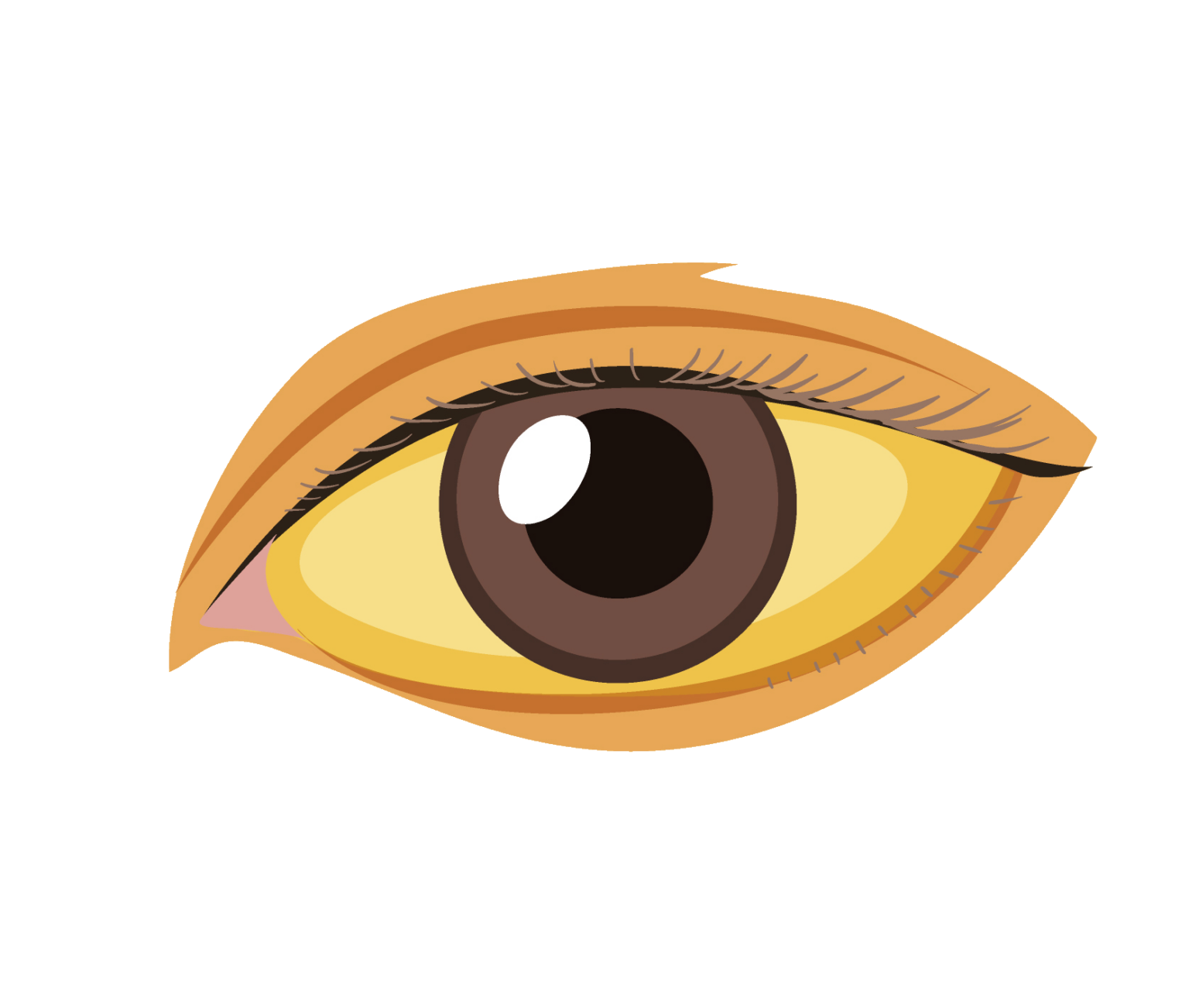 Eye PNG Transparent Images Free Download - Pngfre