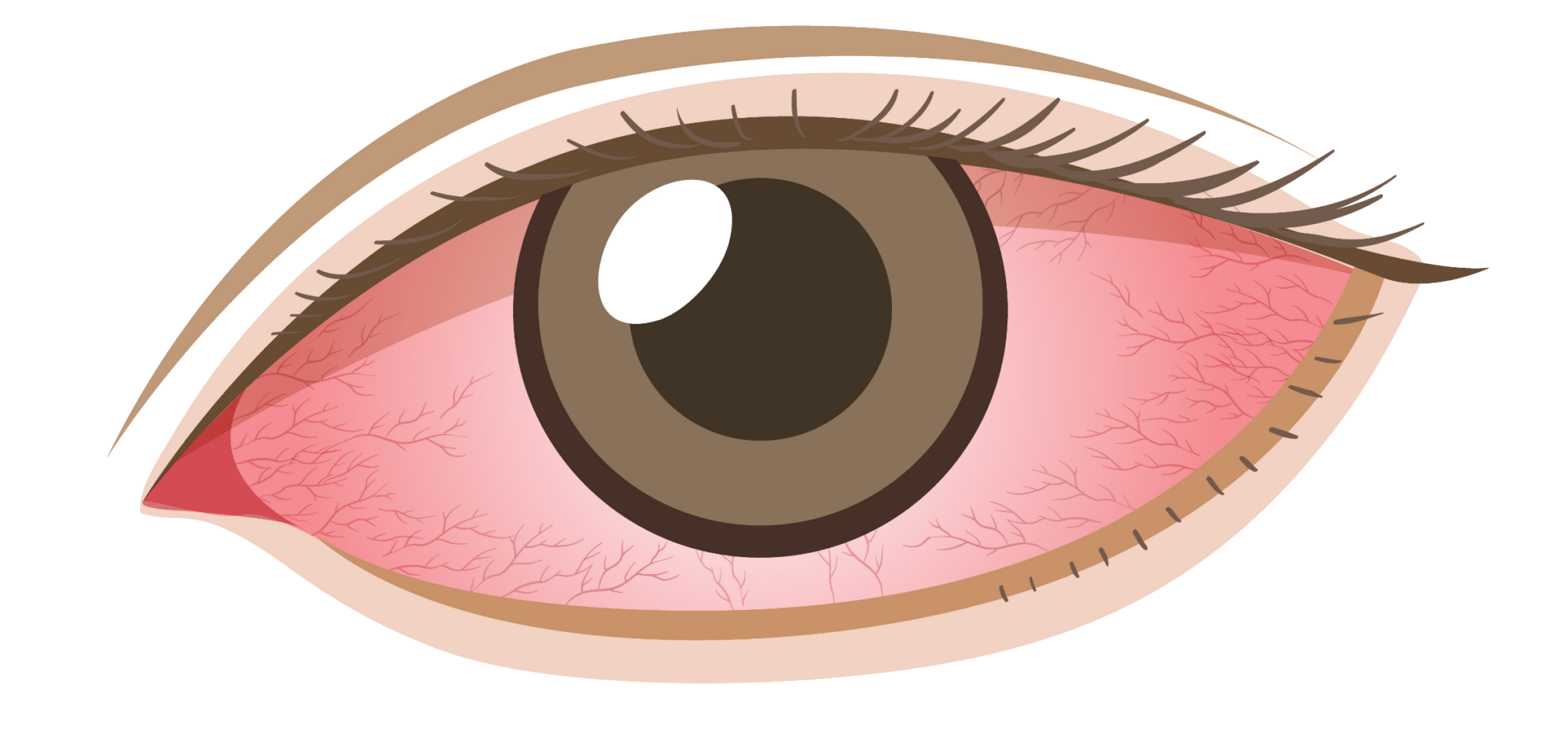 Eye PNG Transparent Images Free Download - Pngfre