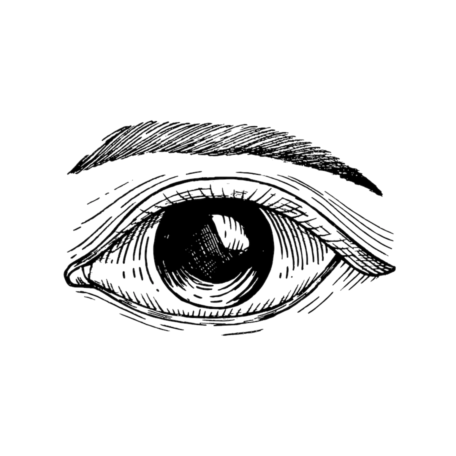 Eye PNG Transparent Images Free Download - Page 4 of 4 - Pngfre