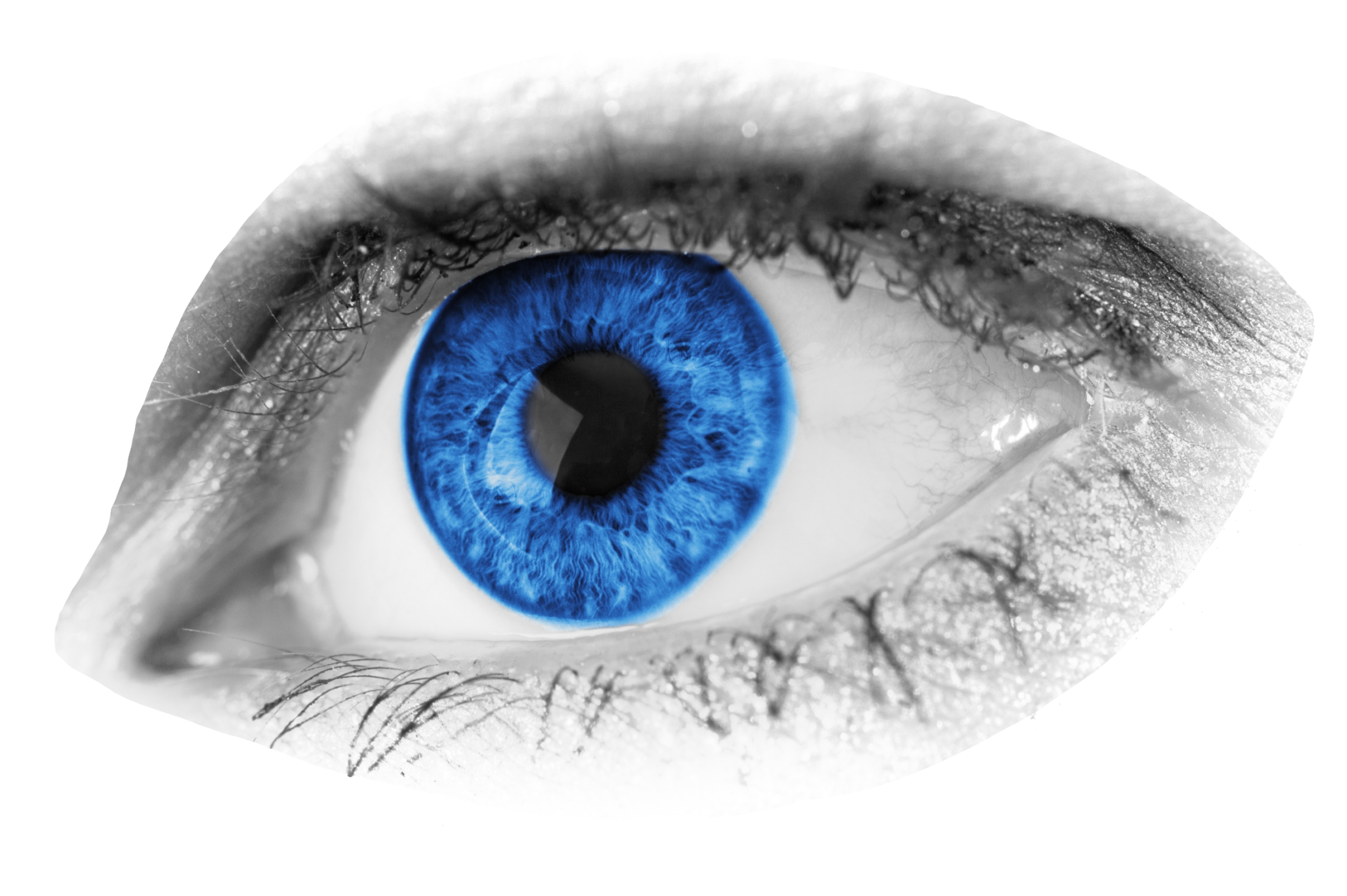 Eye PNG Transparent Images Free Download - Pngfre